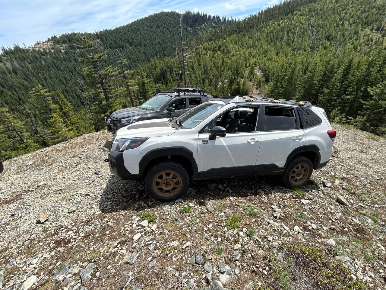 Forester 19 - 24 - RalliTEK