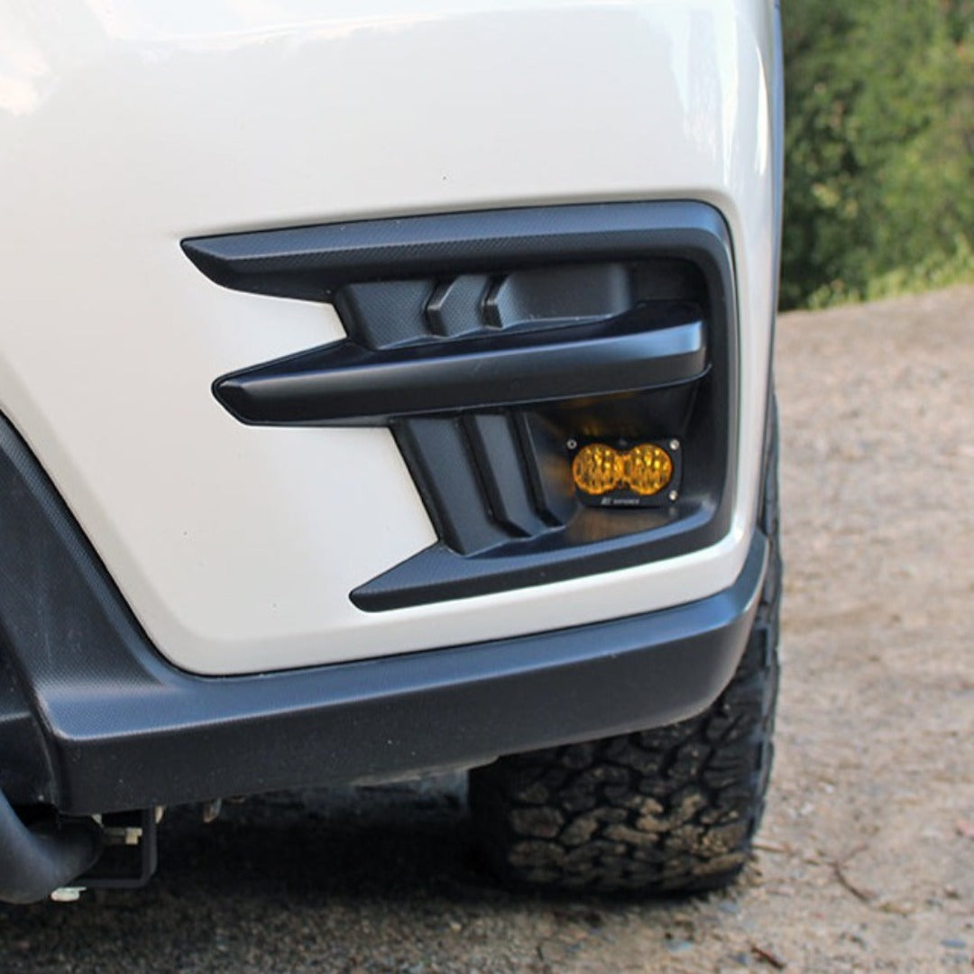 IMG_2227_1024x1024_2x_d5eafb78-d38f-450c-8304-2f4689d50a38.jpg?v=1706135916